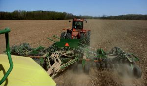 Home - Good in Every Grain