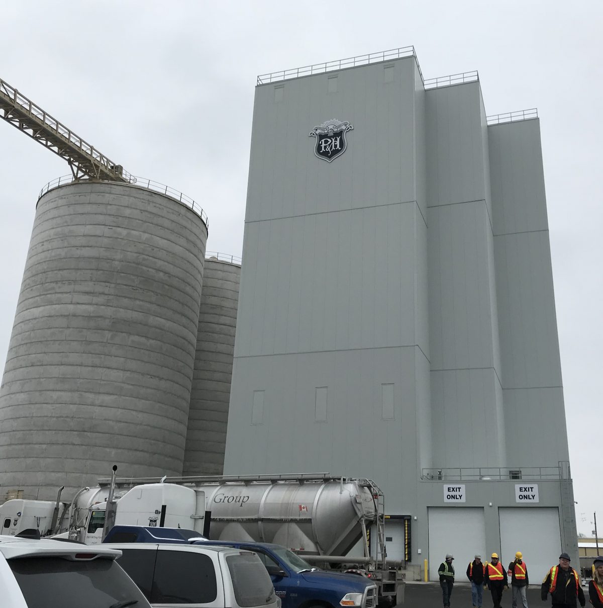 Flour mills: All you knead to know - Good in Every Grain