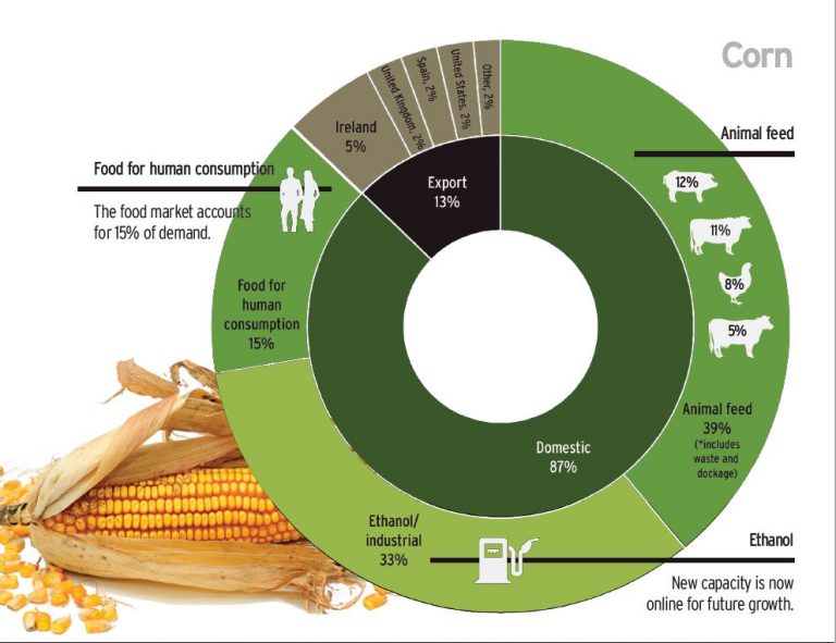 The Whole Grains Story: Corn #WhereDoGrainsGo - Good in Every Grain