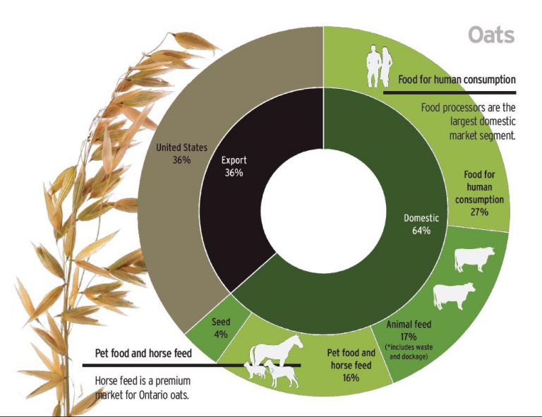 The Whole Grains Story: Barley and Oats #WhereDoGrainsGo - Good in ...