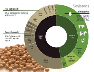 The Whole Grains Story: Soybeans #WhereDoGrainsGo - Good in Every Grain