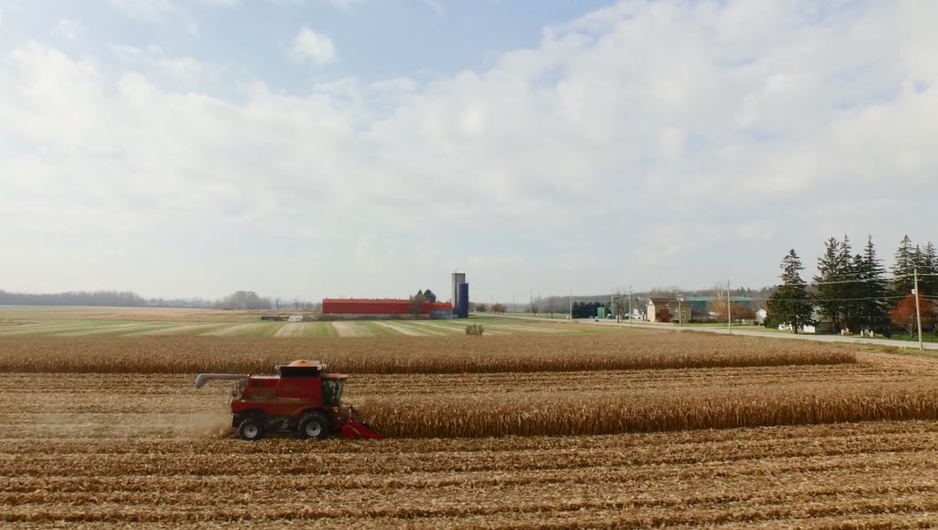 Food vs. fuel - Good in Every Grain