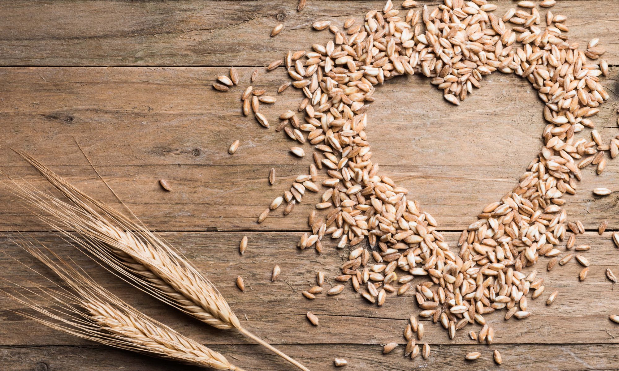 Good in Every Grain – There's Good in Every Grain