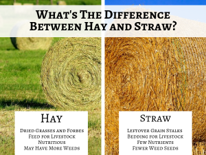 Shredded wheat straw bales - Good in Every Grain