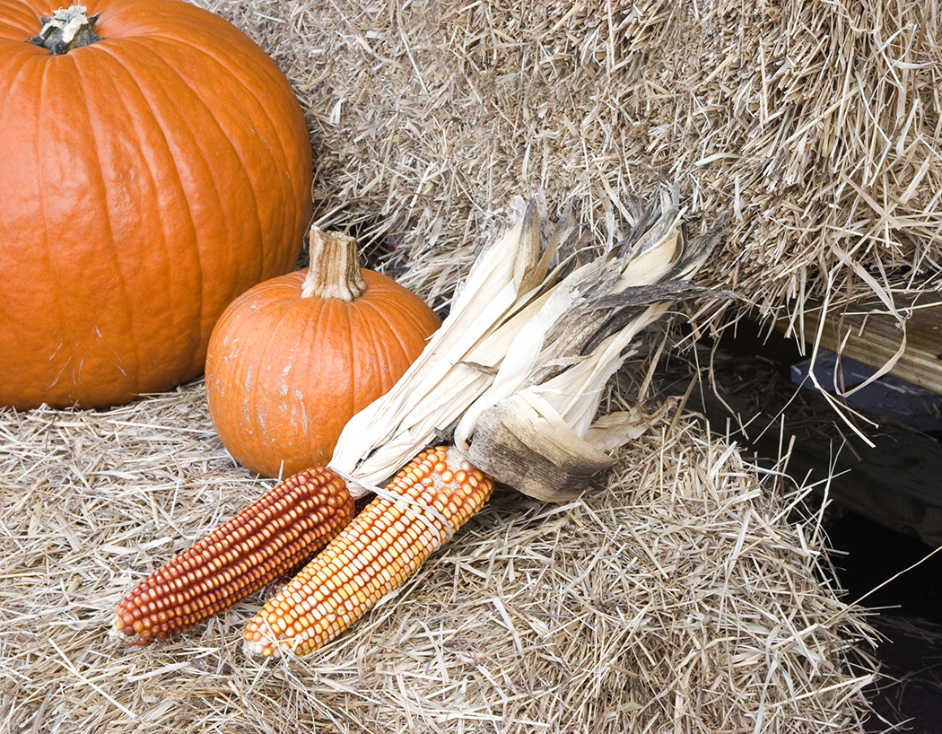 Fall decorating with grains - Good in Every Grain