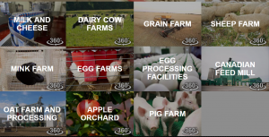 Family Grain Activities - Good in Every Grain