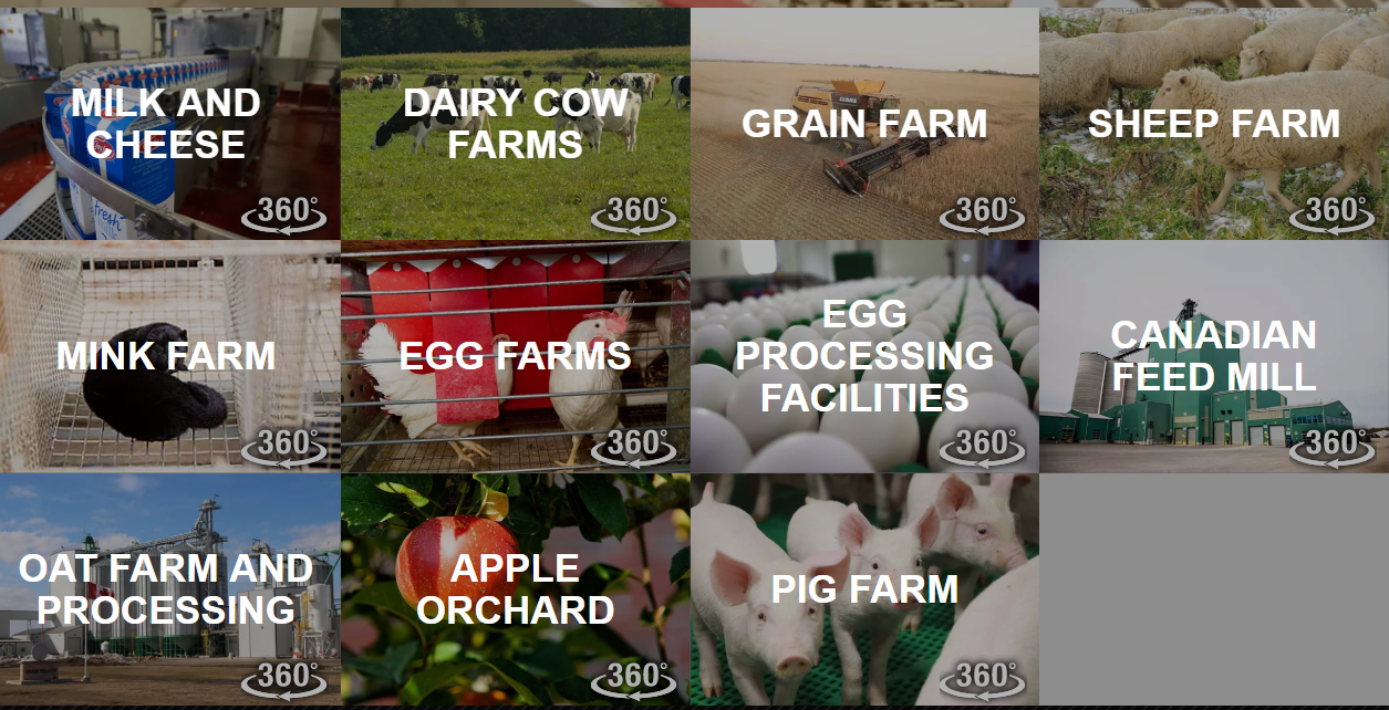 Family Grain Activities - Good in Every Grain