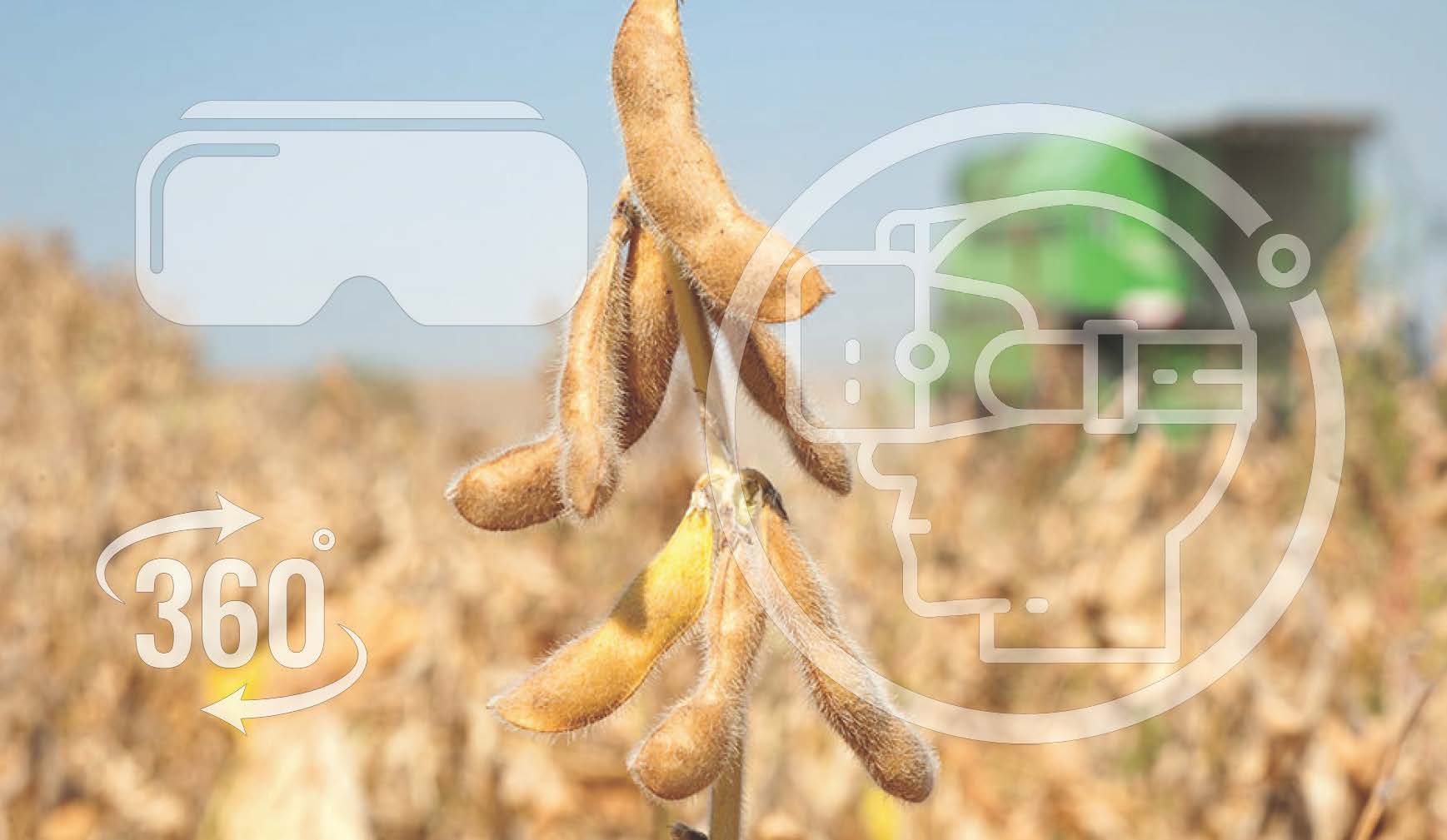 Virtual 360° grain farm tour - Good in Every Grain