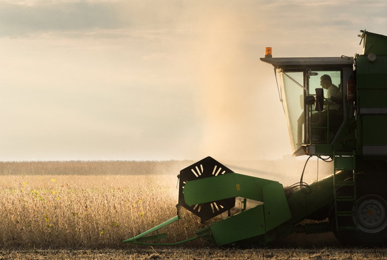 The Story of Soy: Myth, Facts and Health Benefits - Good in Every Grain
