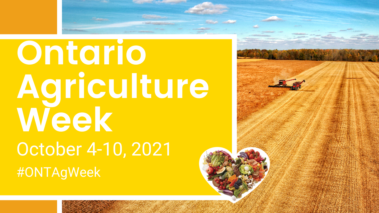 Holiday Gift Guide using Ontario grains!