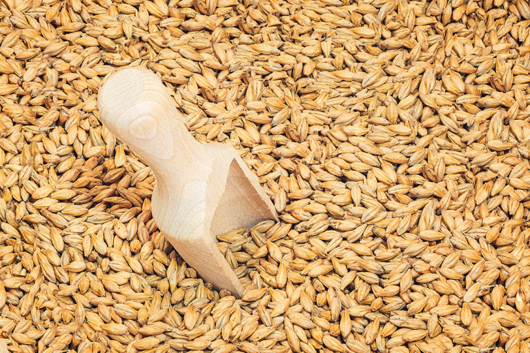 Cover Crops 101 - Good in Every Grain