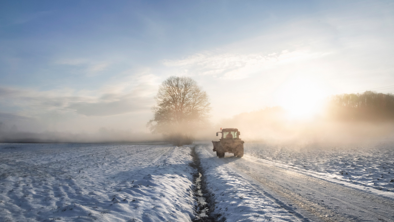 Five things farmers do in the winter - Good in Every Grain