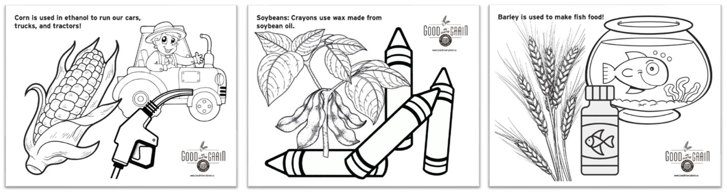 Early finisher activities - Good in Every Grain