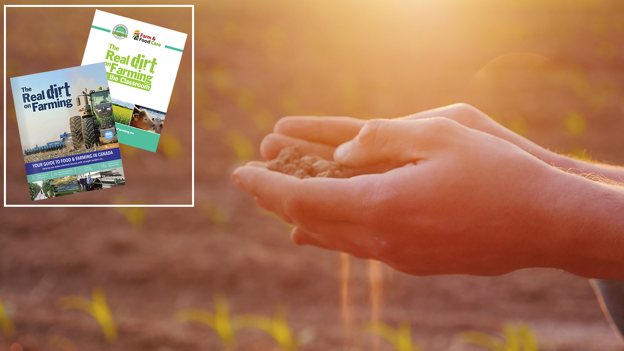Sustainable farming starts with soil - Good in Every Grain
