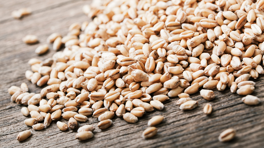 Whole grains vs. refined grains: understanding the benefits of both ...